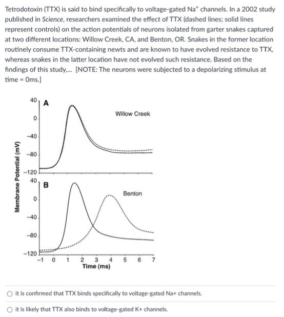 Tetrodotoxin (TTX) is said to bind | StudyX
