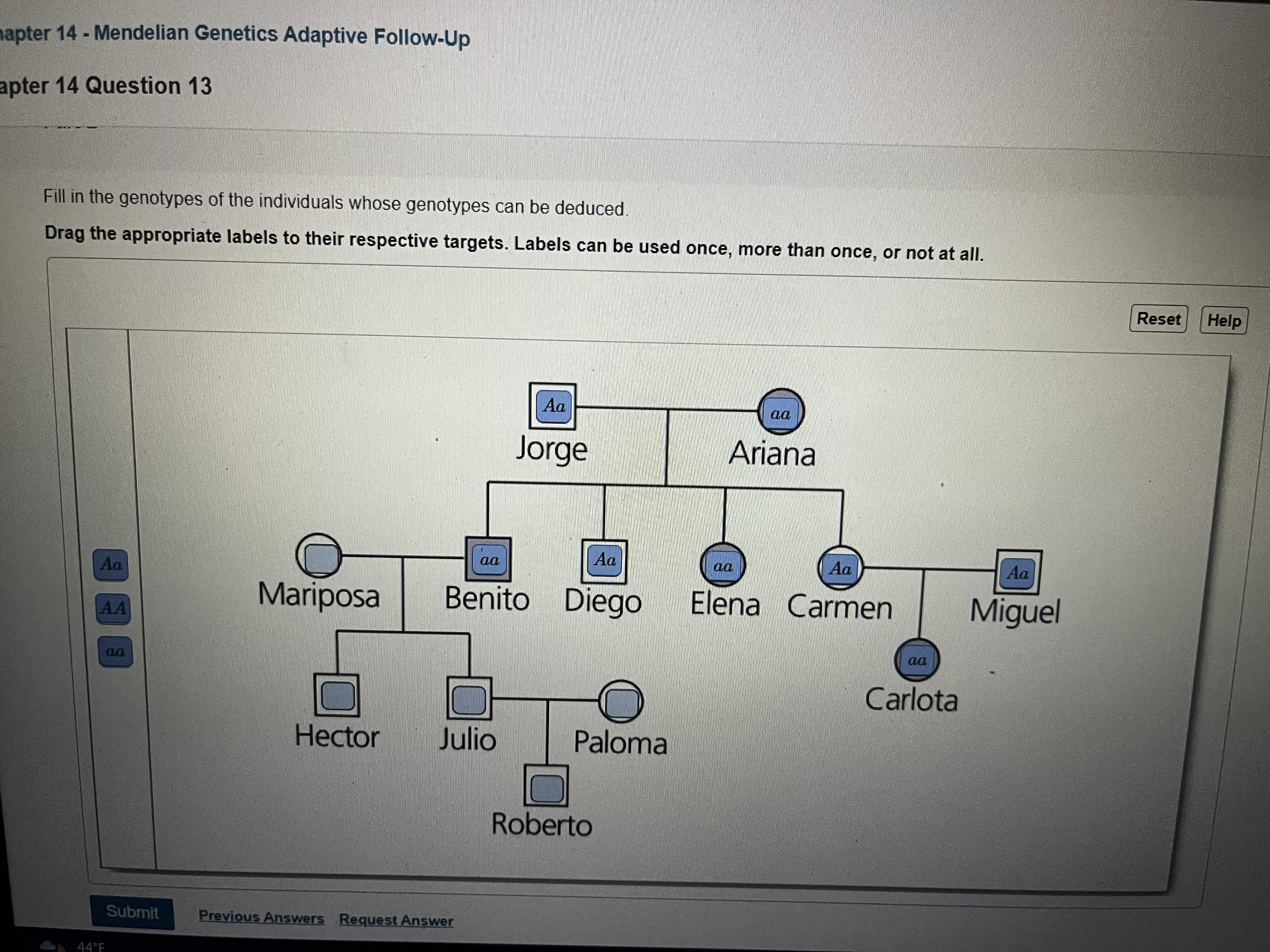 lapter 14 - Mendelian Genetics Adaptive