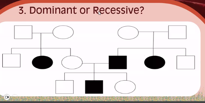 3. Dominant or Recessive? [Pedigree chart | StudyX