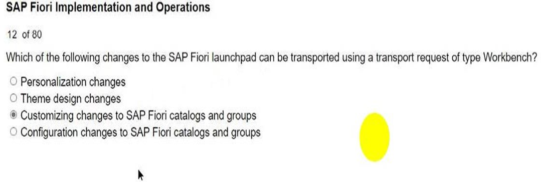 SAP Fiori Implementation and Operations 12 | StudyX