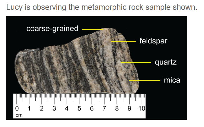 The table shows information about four | StudyX