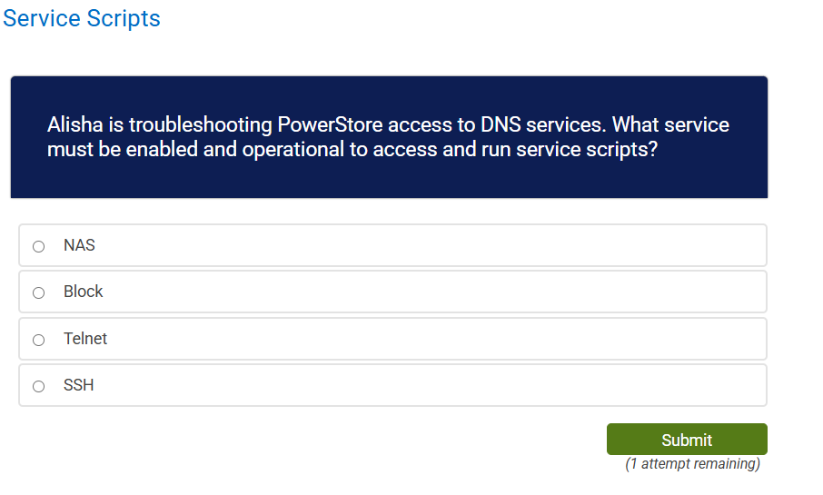 Alisha is troubleshooting PowerStore access | StudyX