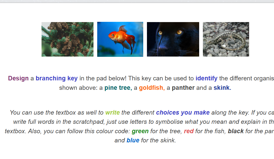 Design a branching key in the pad below! | StudyX
