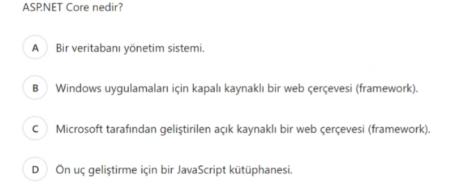 ASP.NET Core nedir? A Bir veritabanı | StudyX