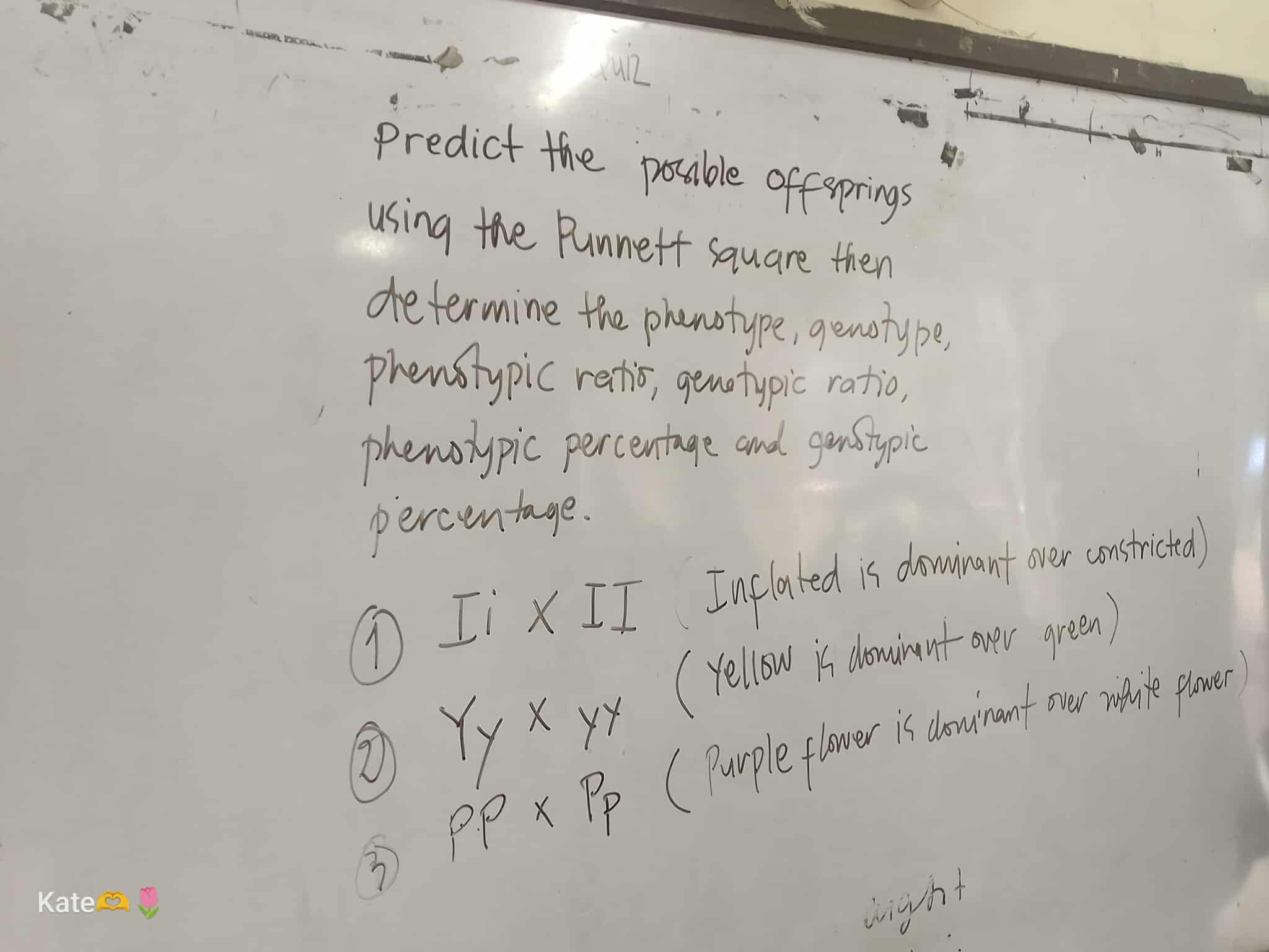 Predict the posible offsprings using the | StudyX