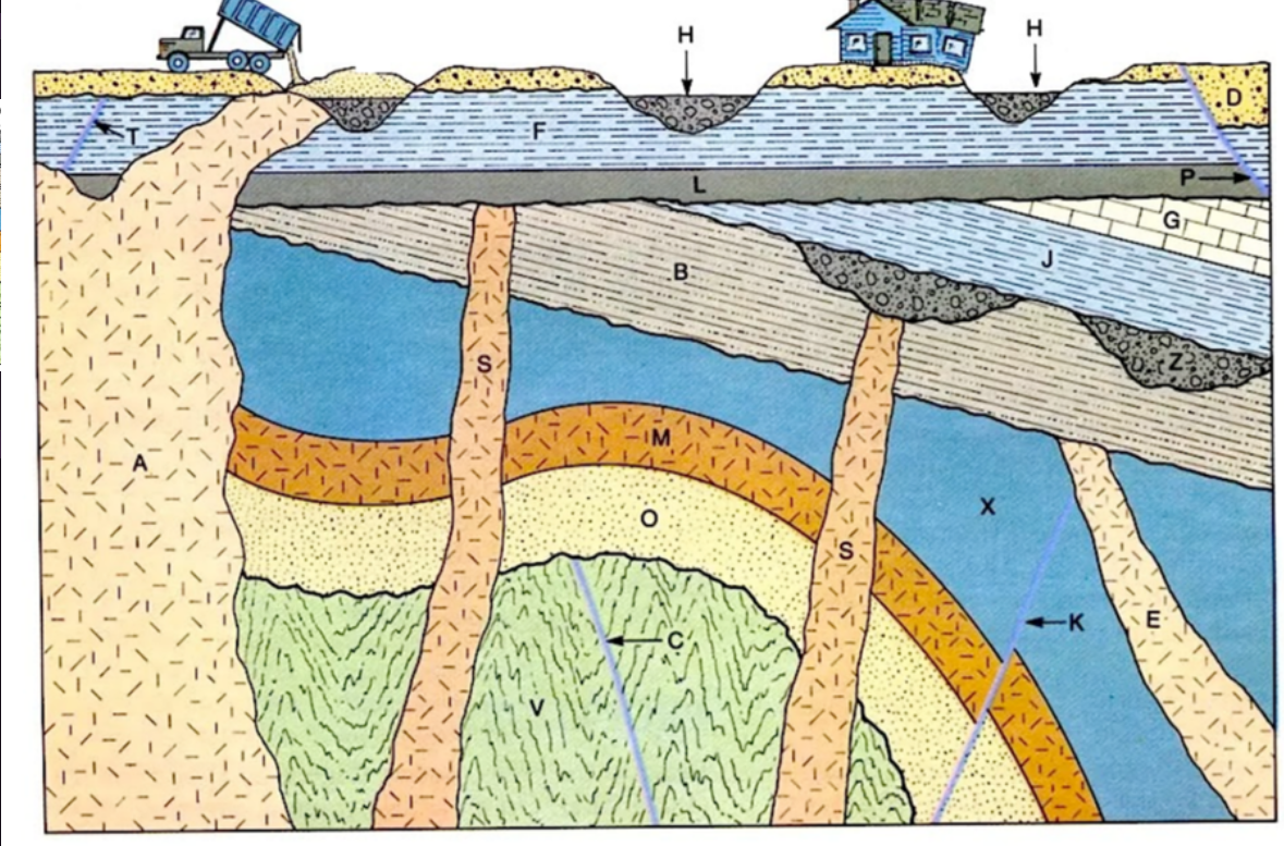 The image is a cross-sectional diagram of | StudyX