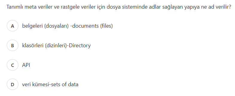 Tanımlı meta veriler ve rastgele veriler | StudyX