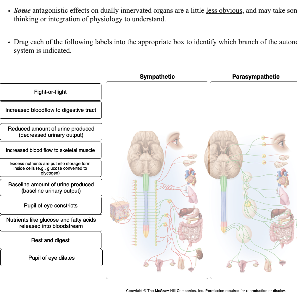 Drag each of the following labels into the | StudyX