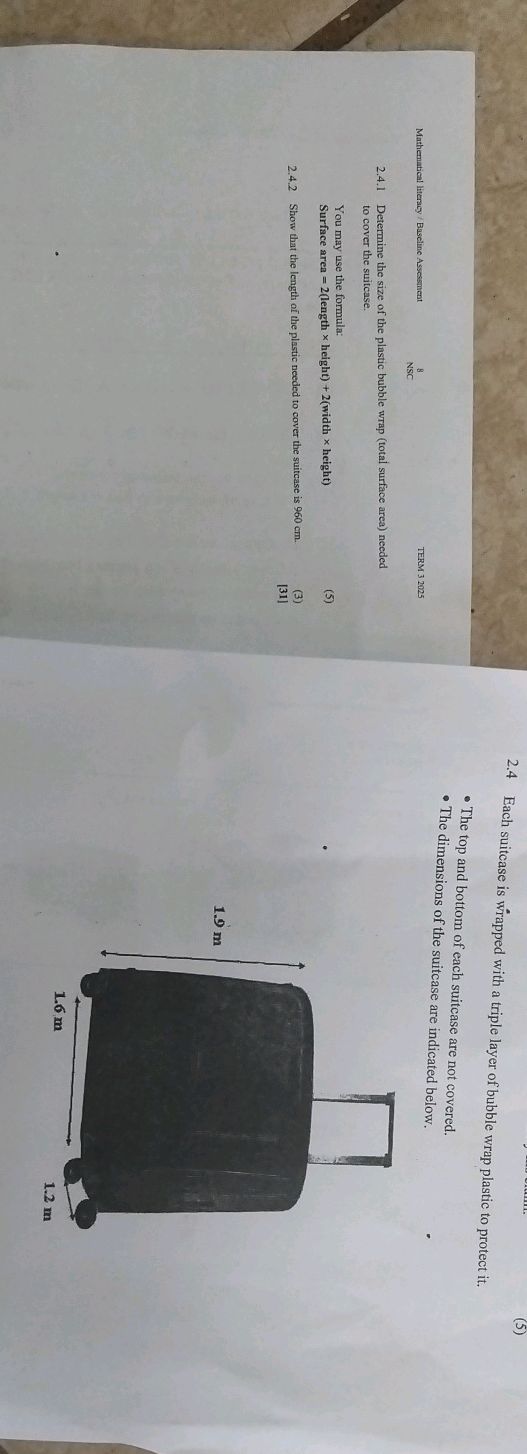 Mathematical literacy/Baseline Assessment | StudyX