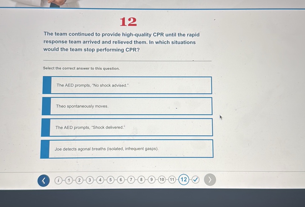 12 The team continued to provide | StudyX