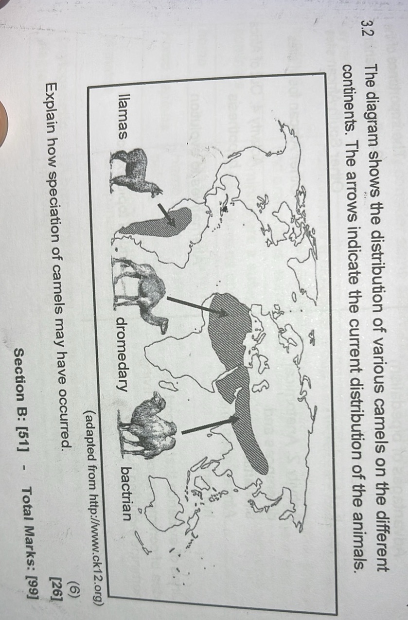 The diagram shows the distribution of