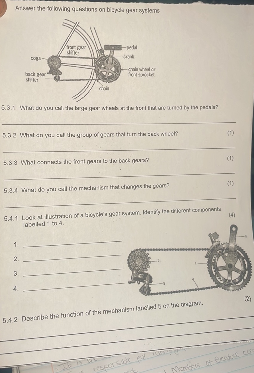 Answer the following questions on bicycle | StudyX