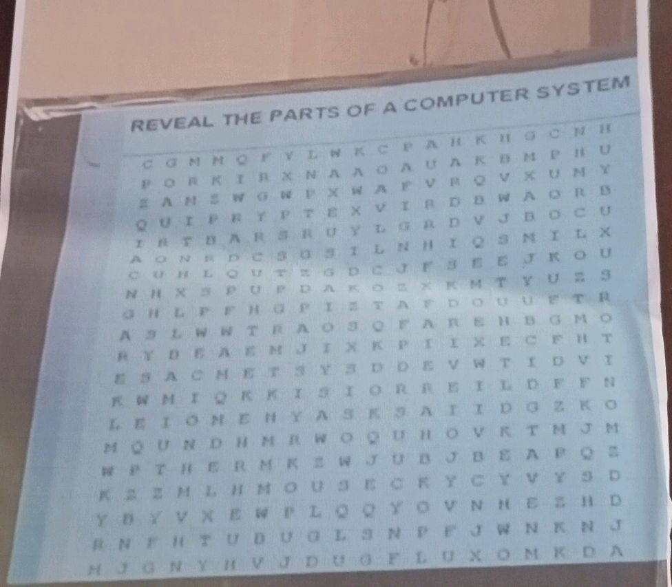 REVEAL THE PARTS OF A COMPUTER SYSTEM