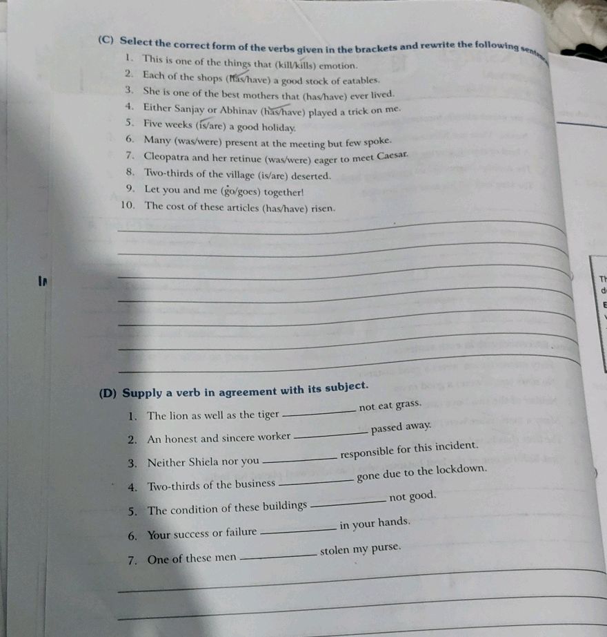 (C) Select the correct form of the verbs | StudyX