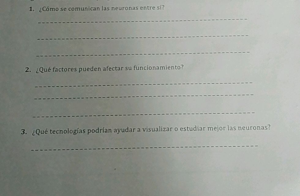 1. ¿Cómo se comunican las neuronas entre sí? | StudyX