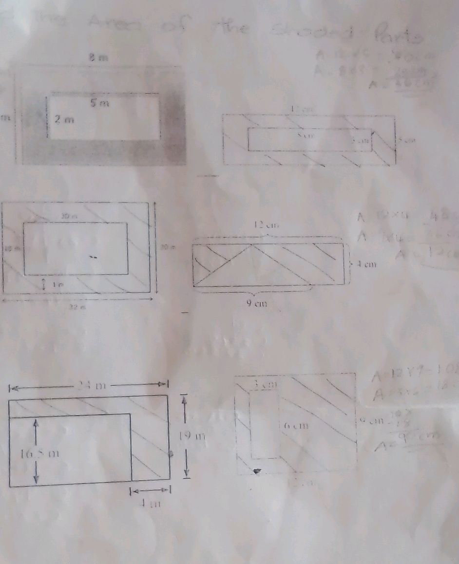 Find the area of the shaded parts in the | StudyX
