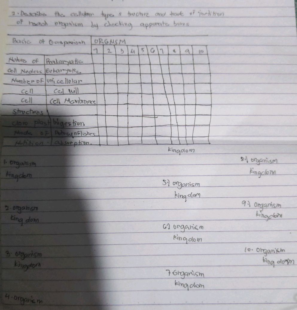 Describe the cellular types structure and