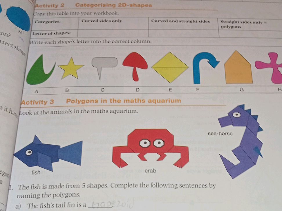 Activity 2 Categorising 2D-shapes Copy this