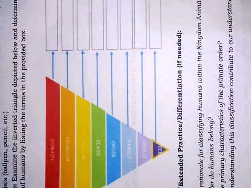 Examine the inverted triangle depicted below | StudyX