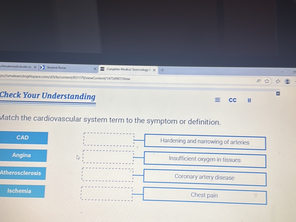 Match the cardiovascular system term to the | StudyX