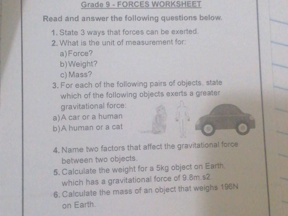Grade 9 - FORCES WORKSHEET Read and answer | StudyX