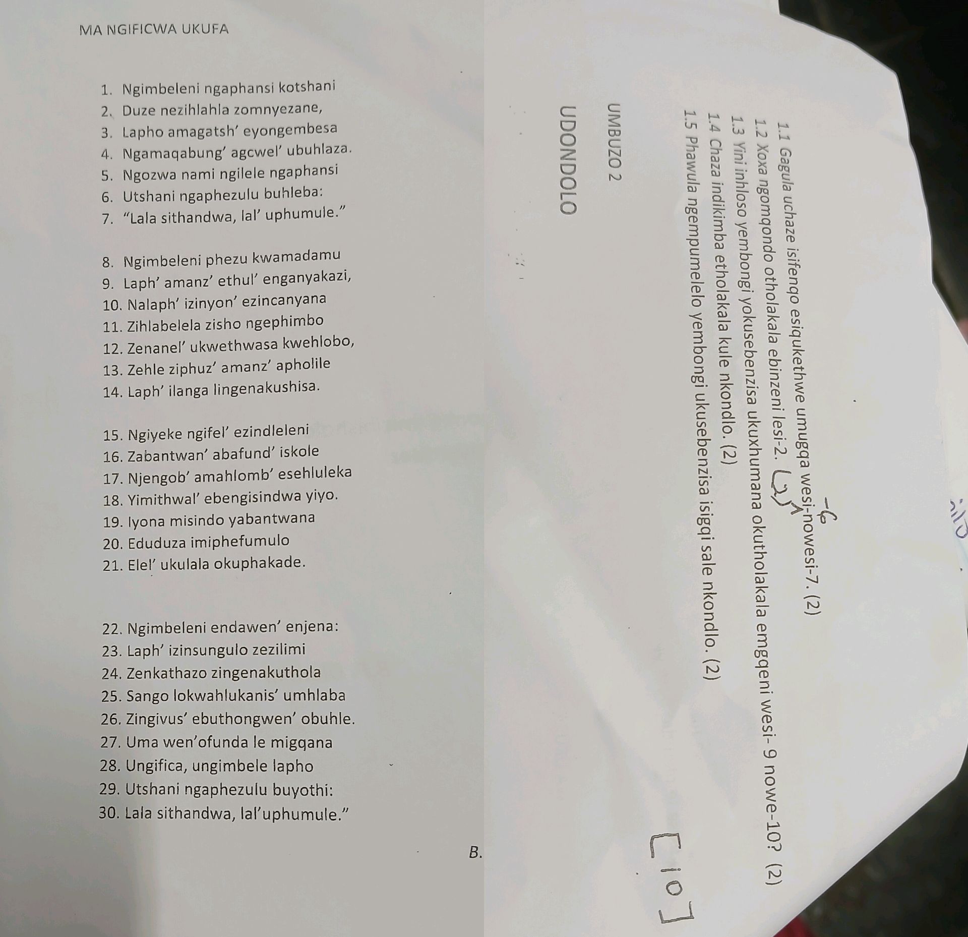 1.1 Gagula uchaze isifengo esiqukethwe | StudyX