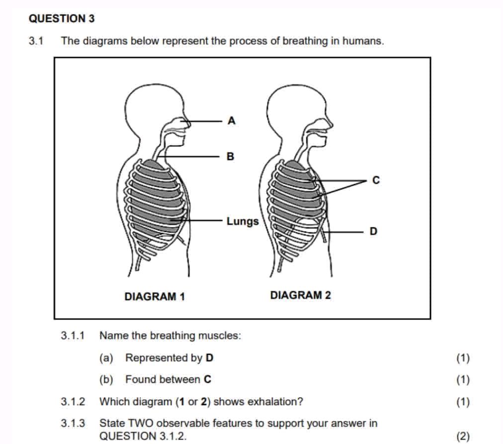The diagrams below represent the process of