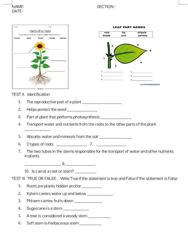 TEST II. Identification 1. The reproductive | StudyX