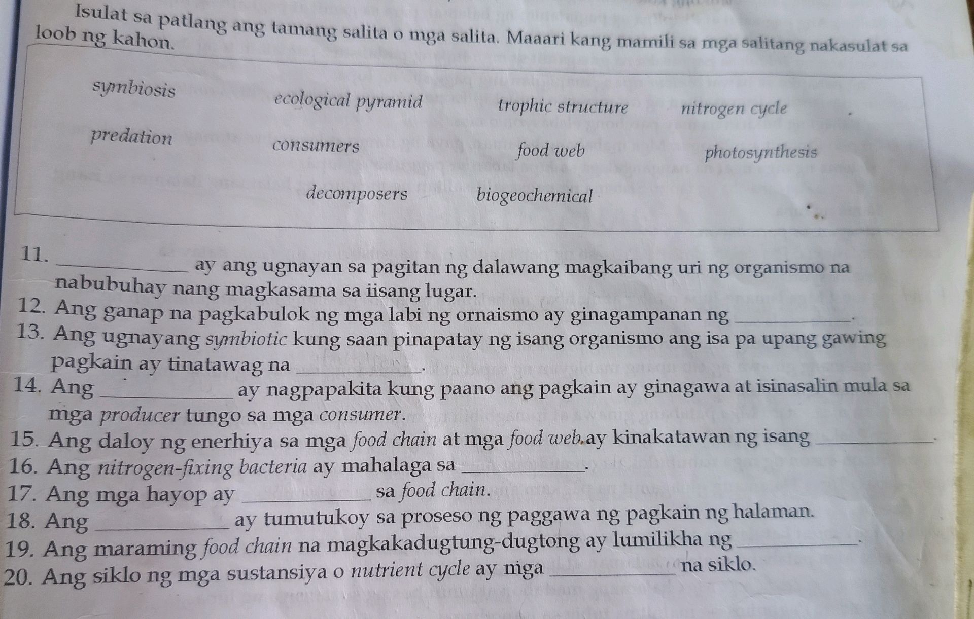 Isulat sa patlang ang tamang salita o mga | StudyX