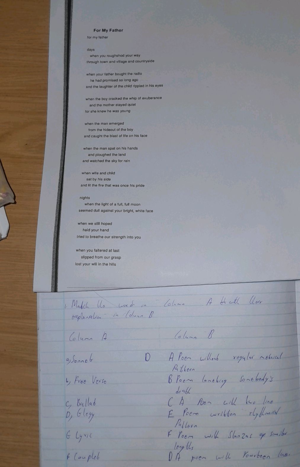 Mabch blo words in Column A with explanation