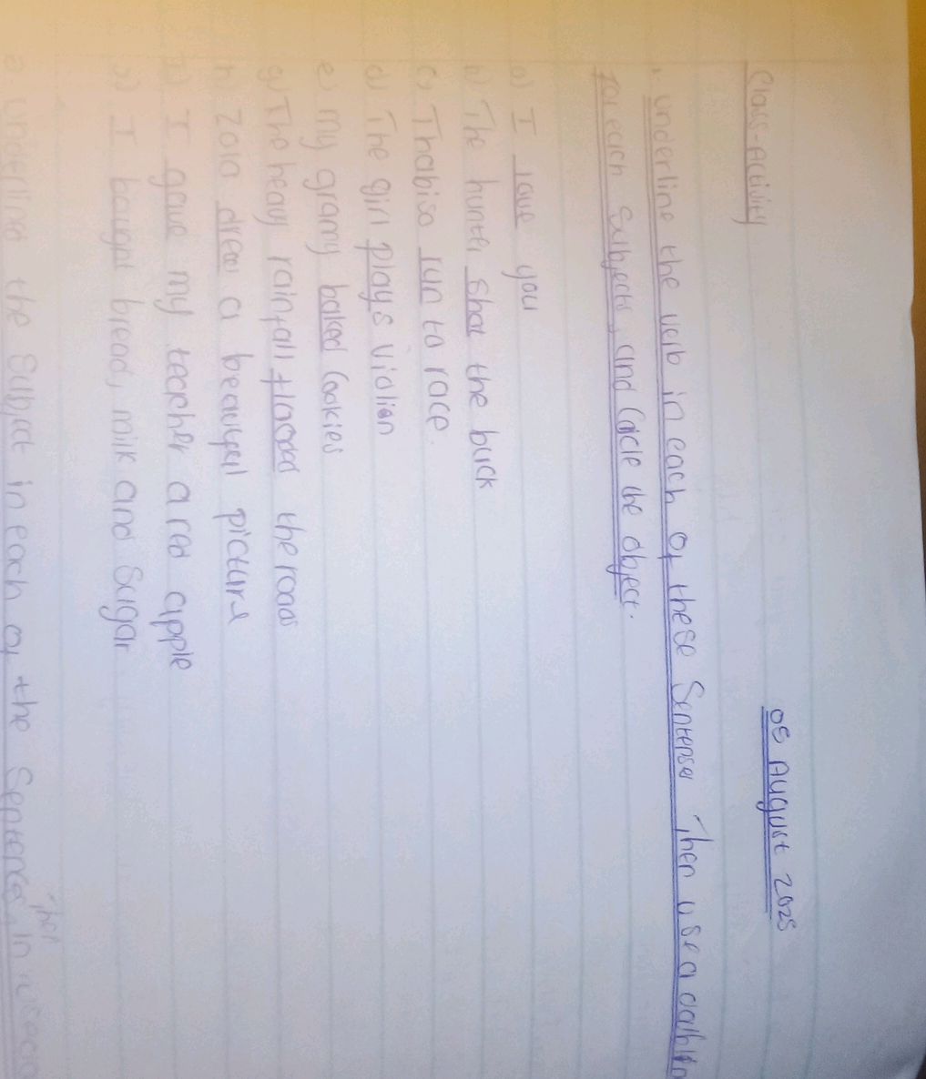 Class-Activity underline the verb in each | StudyX