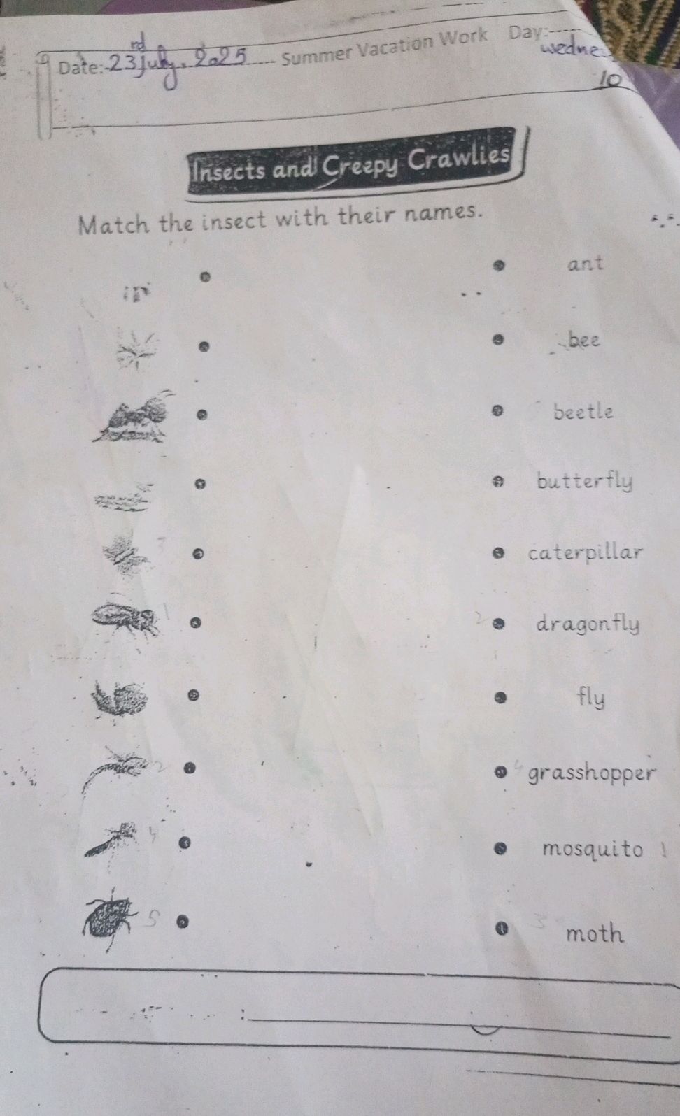 Match the insect with their names. Insect 1 | StudyX