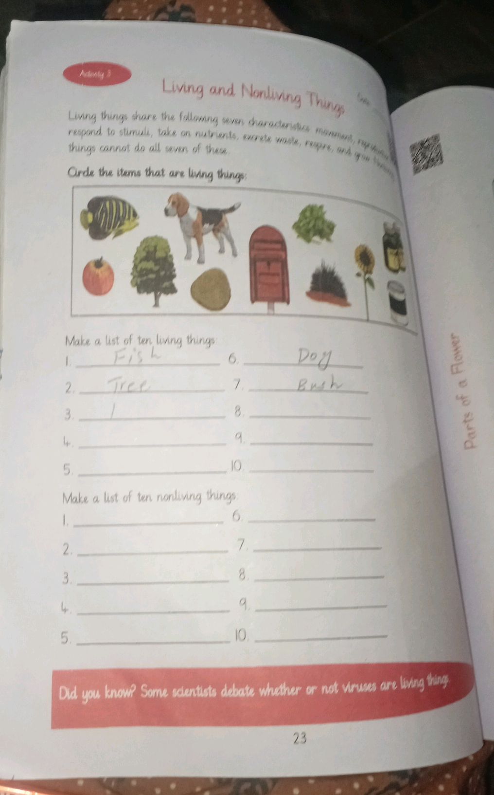 Circle the items that are living things: | StudyX