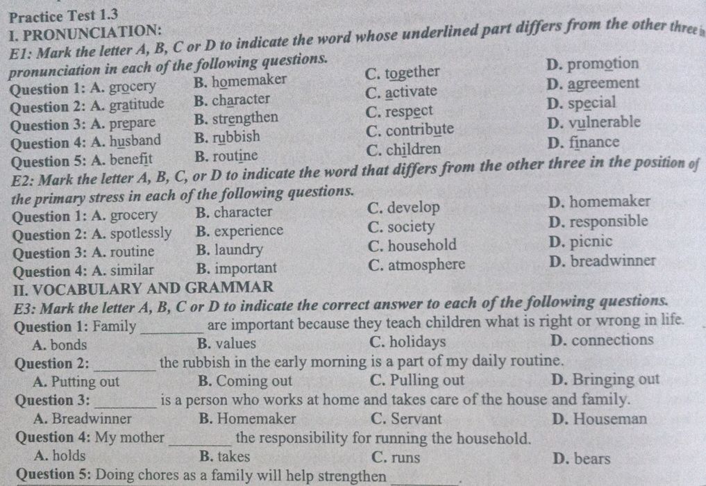Practice Test 1.3 E1: Mark the letter A, B, | StudyX