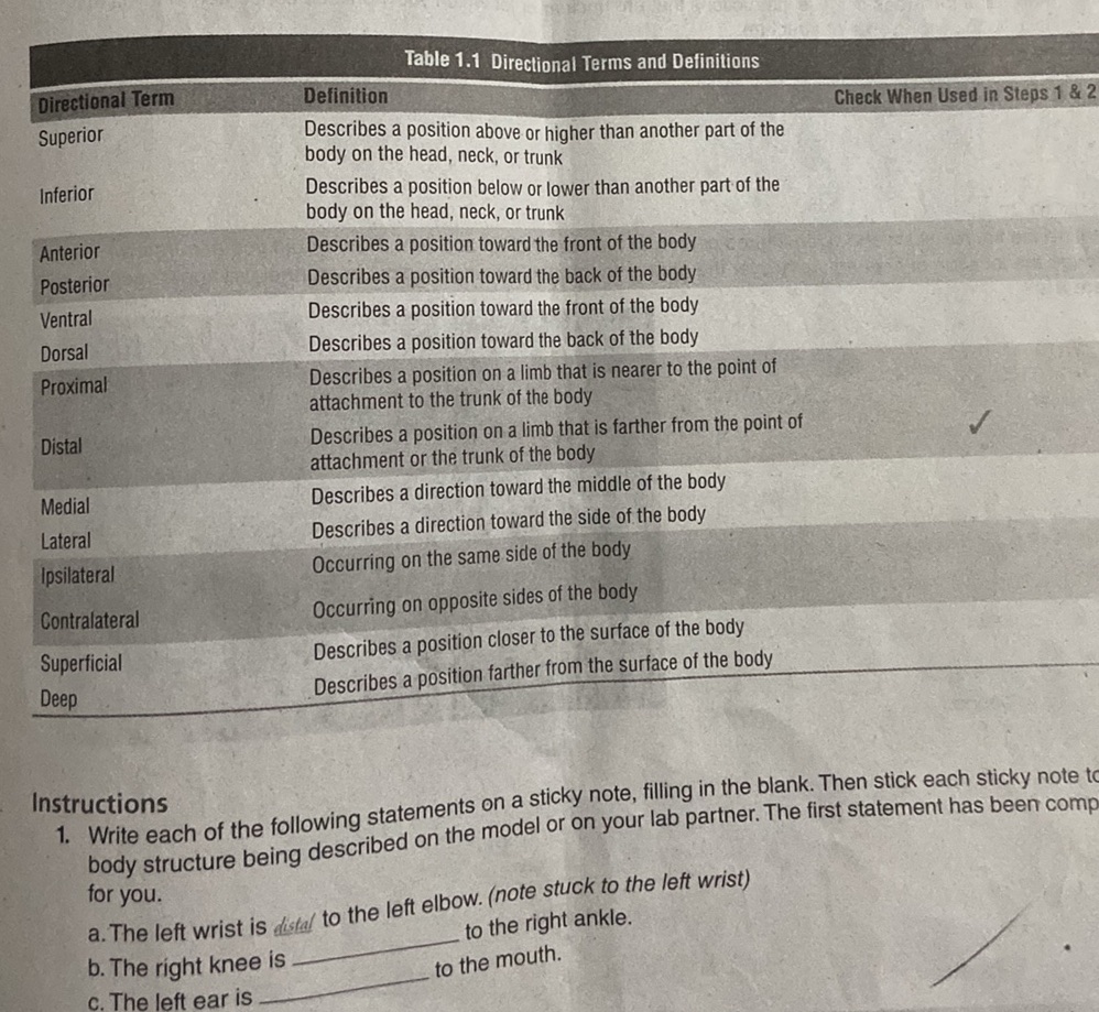 Table 1.1 Directional Terms and Definitions | StudyX