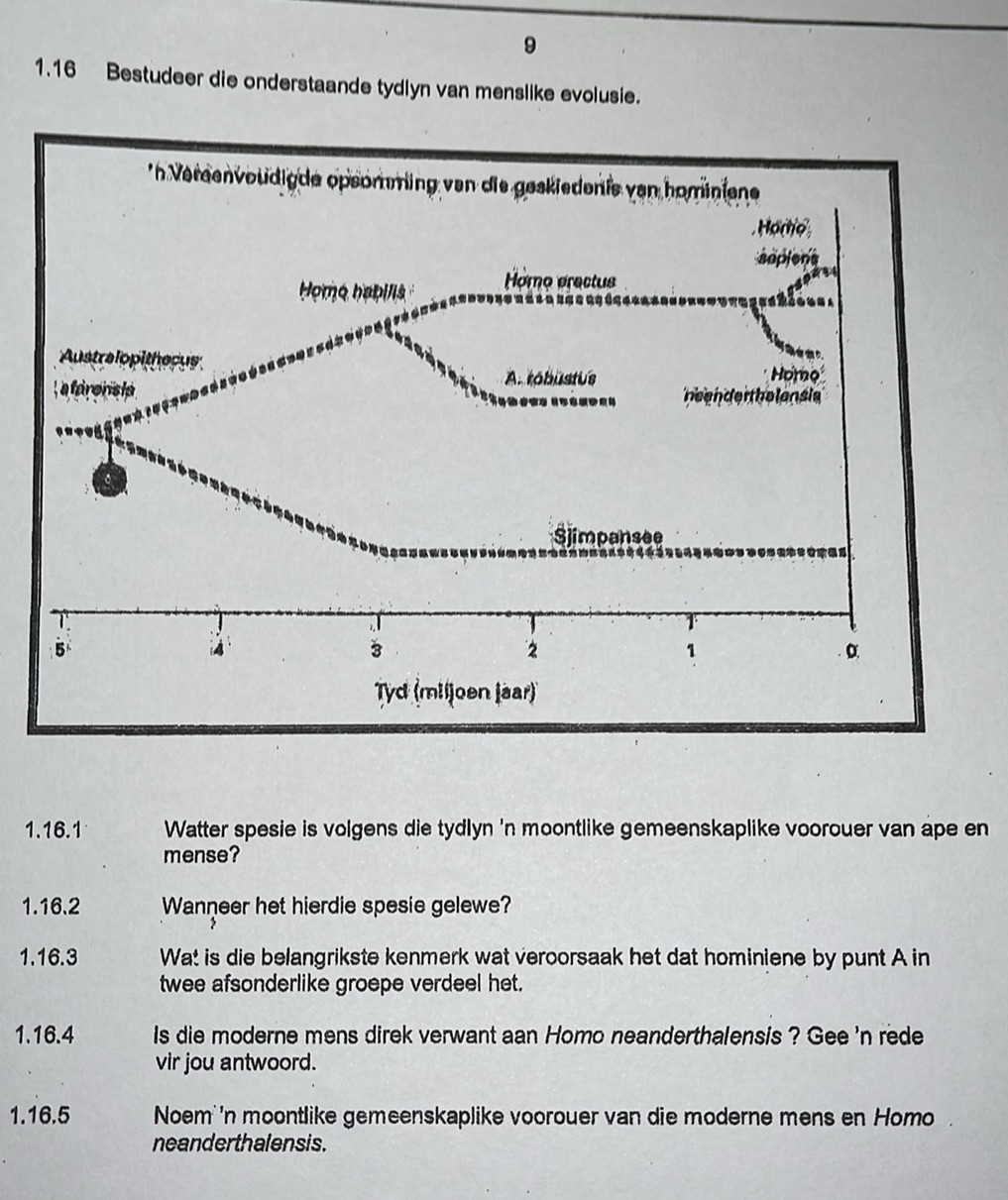 1.16 Bestudeer die onderstaande tydlyn van | StudyX