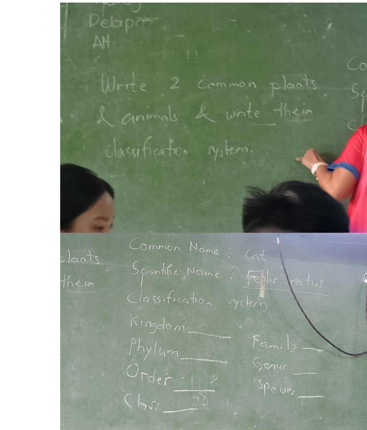 Write 2 common plants animals write | StudyX