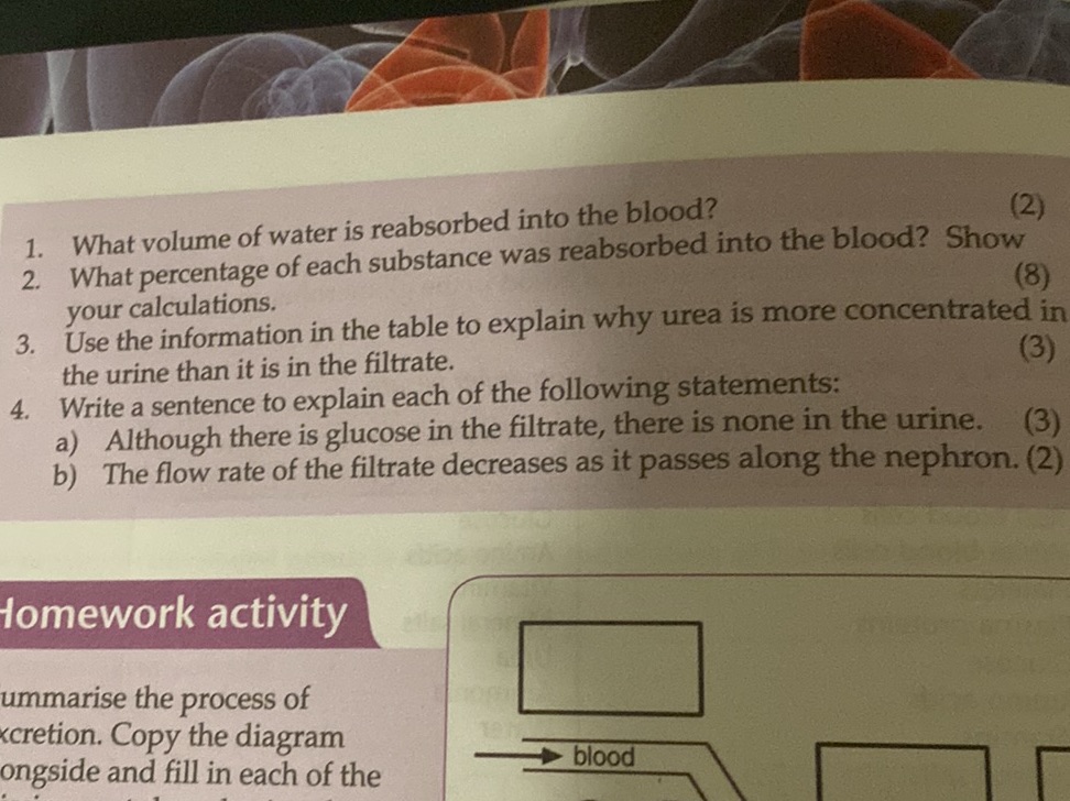 What volume of water is reabsorbed into the