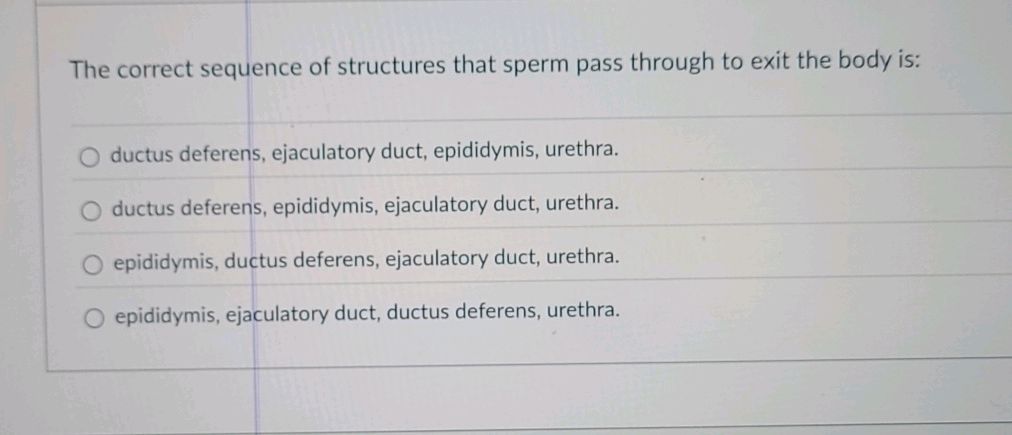 The correct sequence of structures that