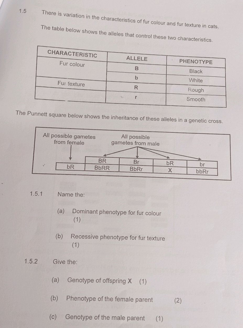 The table below shows the alleles that | StudyX