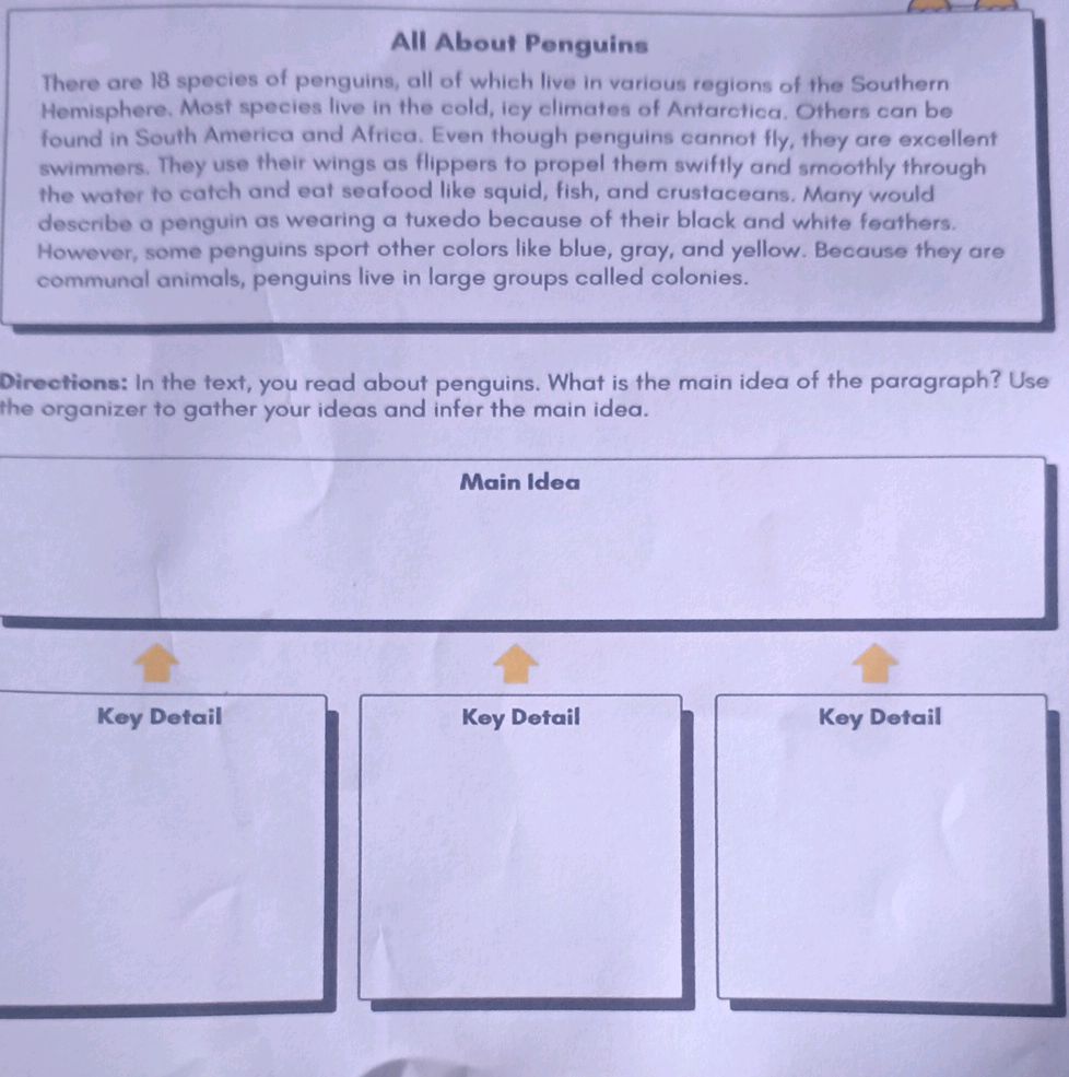 All About Penguins There are 18 species of | StudyX