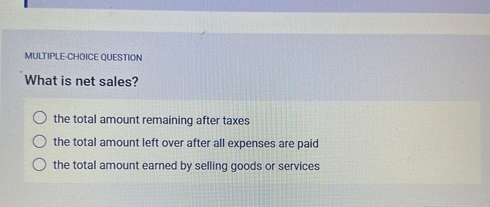 What is net sales? the total amount