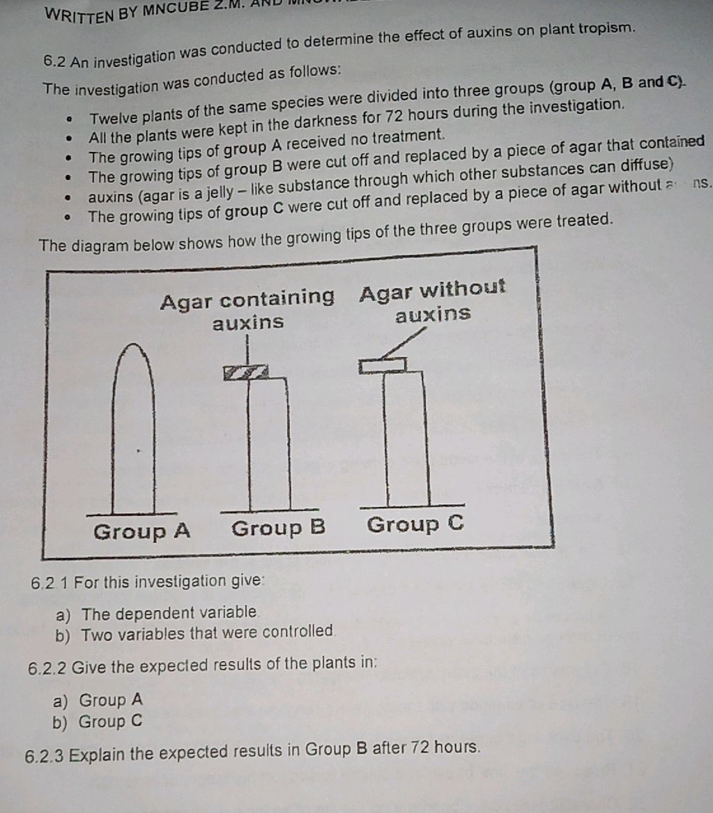6.2 An investigation was conducted to | StudyX