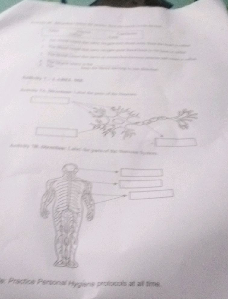 Activity 7. Label the parts of the Nervous | StudyX