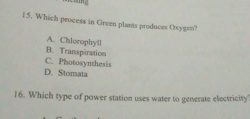 Which process in Green plants produces