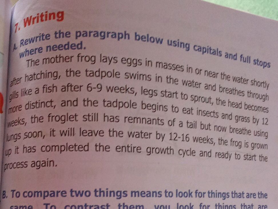 A. Rewrite the paragraph below using