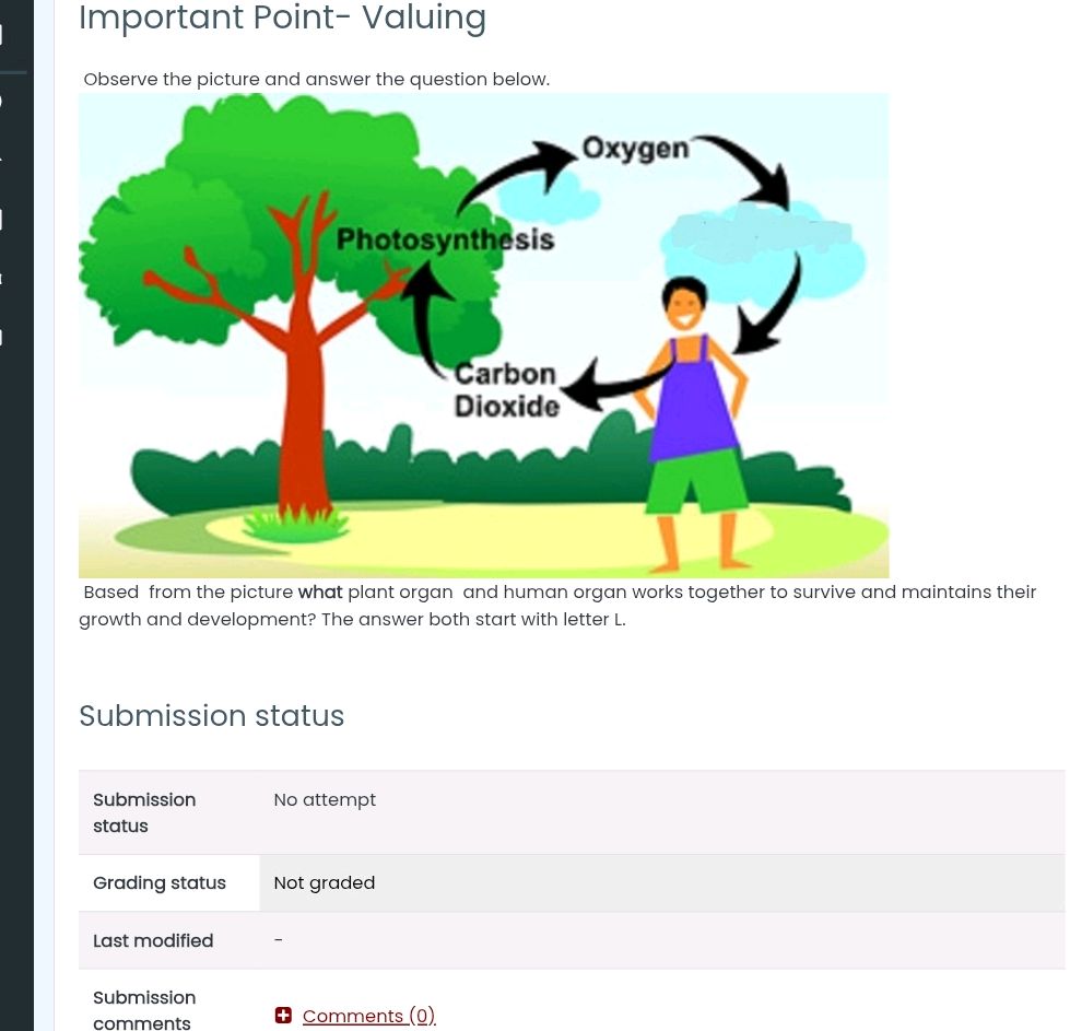 Observe the picture and answer the question | StudyX