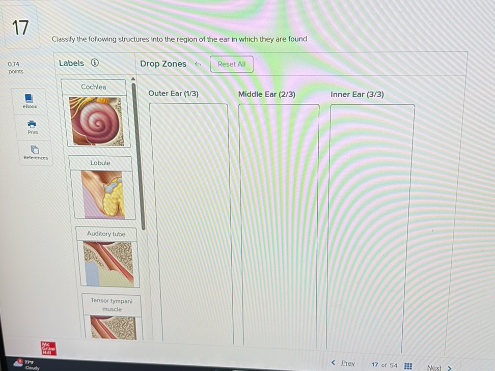 Classify the following structures into the | StudyX