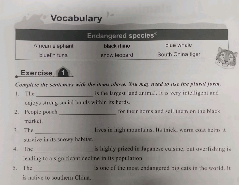 Vocabulary Endangered species® African | StudyX