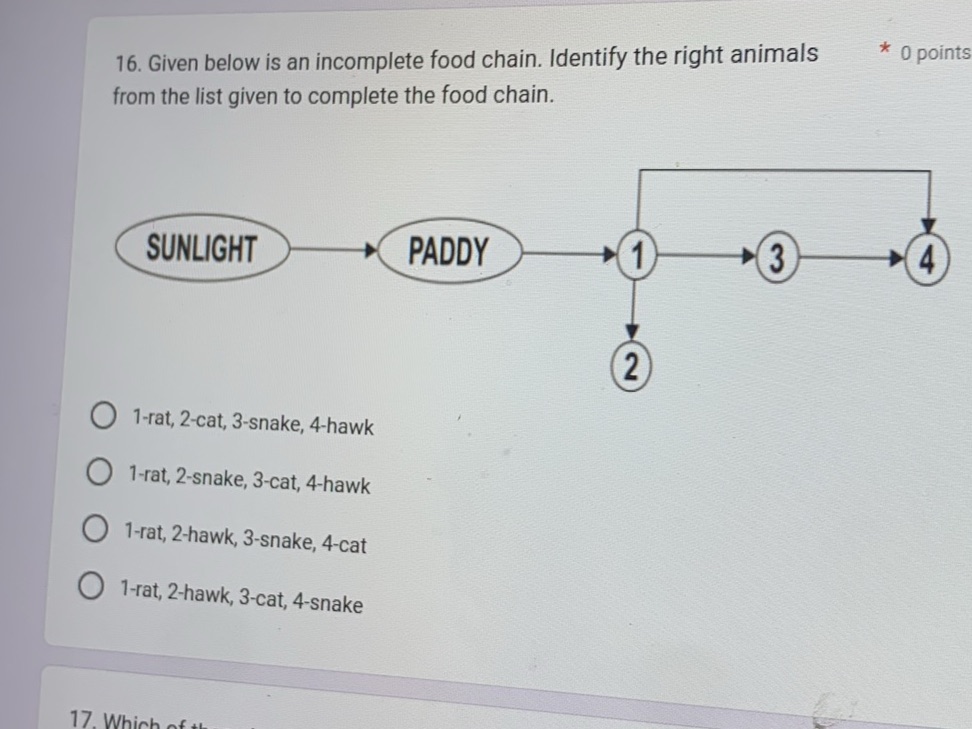 Given below is an incomplete food chain.